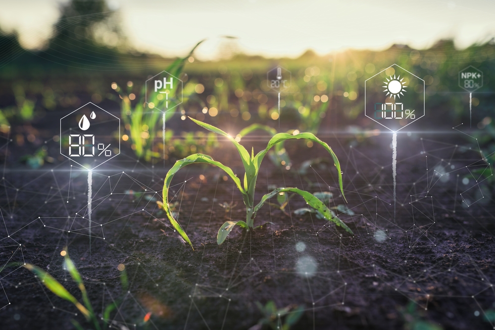 Larry Ellison Just Made One Move That Shows Bill Gates Isn't The Only ...