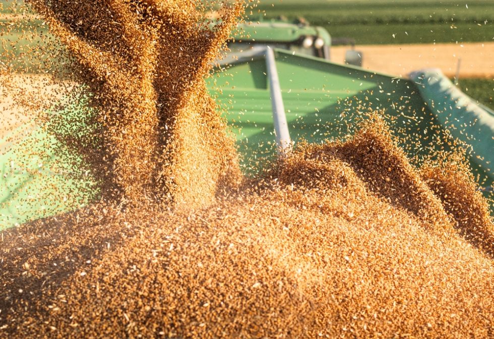 Corporate food giants finally paying the price for poisoning America ...