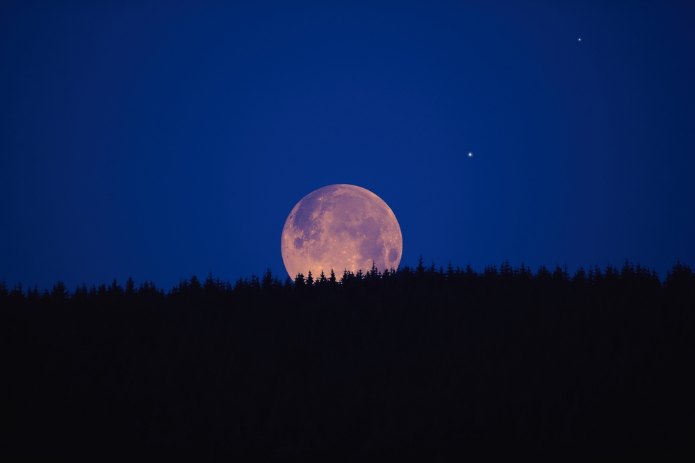 Neil Young's Unhinged Trump Rant Calls for 'Rising Up' as ICE Agents ...